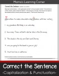 Correct the Sentence! (Capitalization and Punctuation Worksheet ...