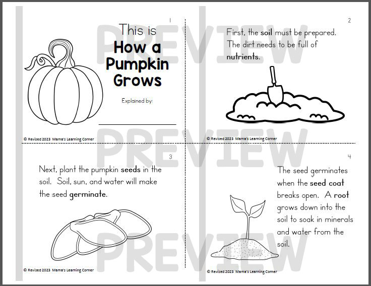 Pumpkin Life Cycle Worksheets and Booklet - Mamas Learning Corner