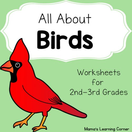 Birds Worksheet Packet - Mamas Learning Corner