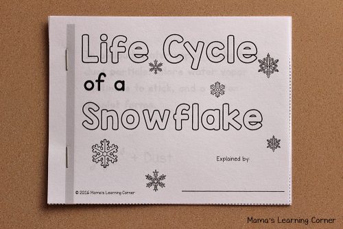 Snowflake Life Cycle Worksheets - Mamas Learning Corner