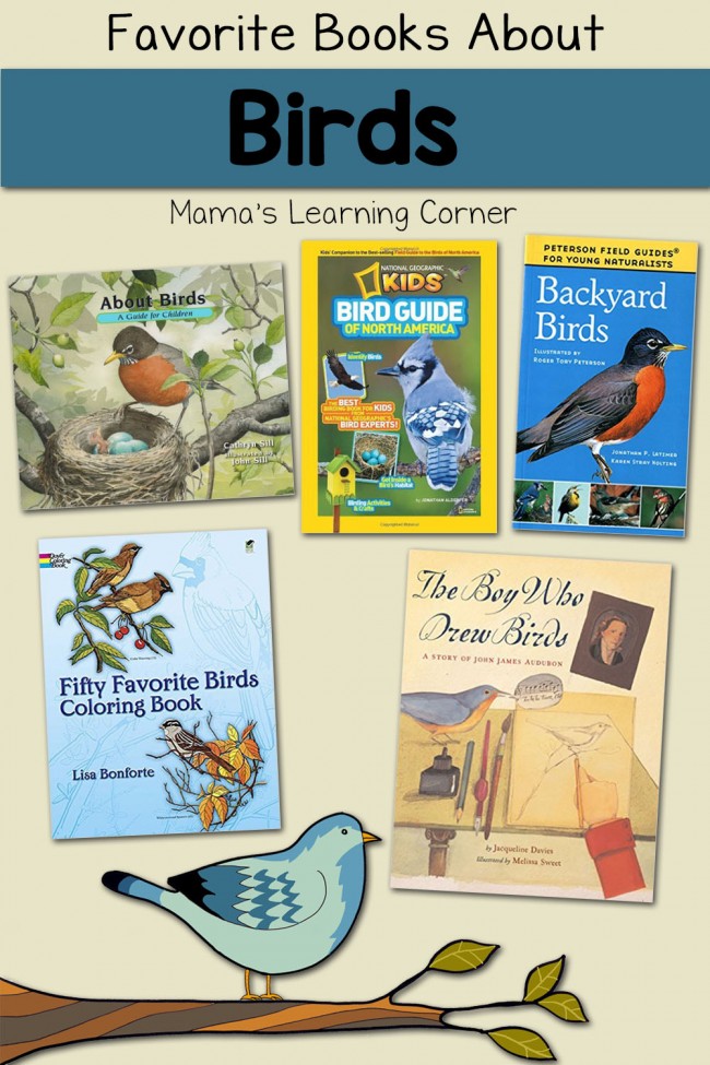 Favorite Books to Learn About Birds - Mamas Learning Corner
