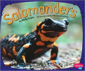 Life Cycle of a Salamander Booklet - Mamas Learning Corner
