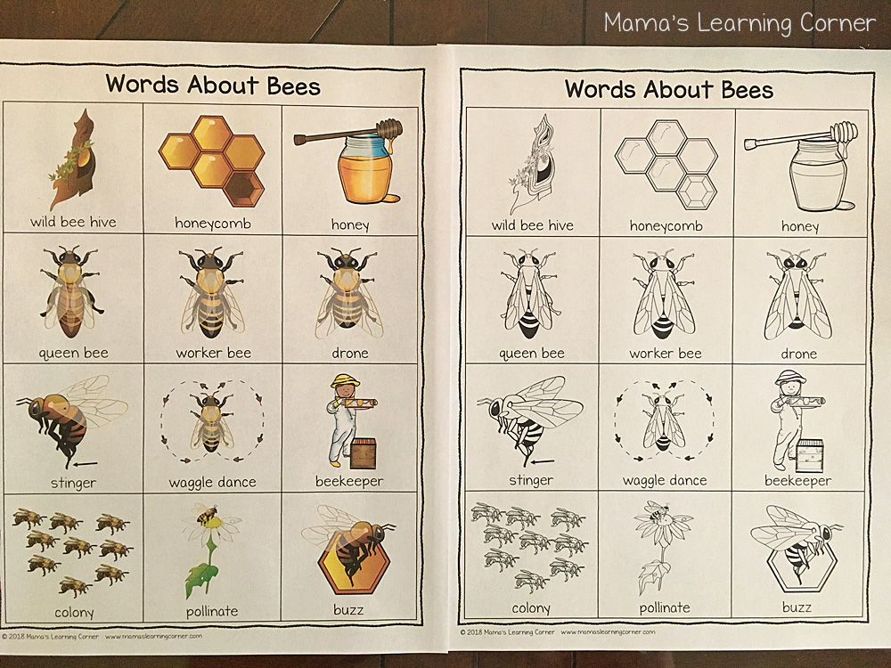 Bees Writing Booklet with Picture Dictionary - Mamas Learning Corner