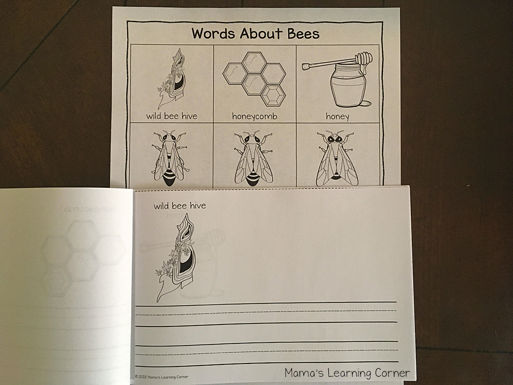 Bees Writing Booklet with Picture Dictionary - Mamas Learning Corner