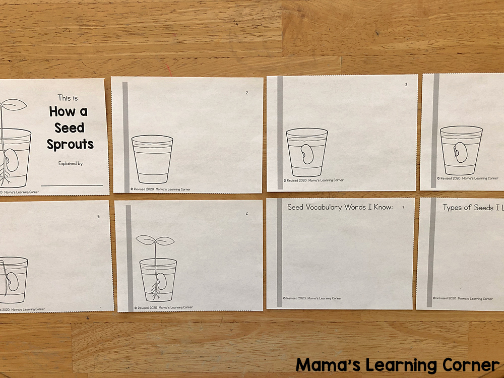 Spring Worksheets, Crafts, Science Activities, and More! - Mamas ...