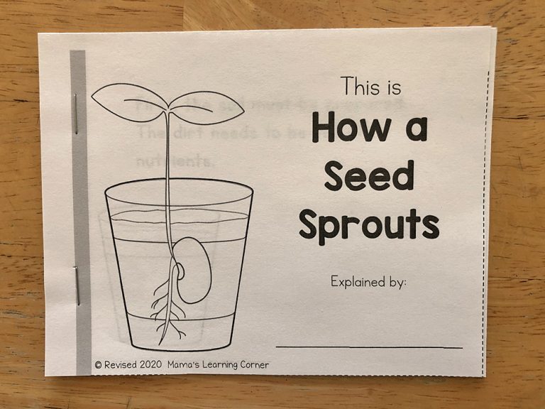Seed Writing Activities - Mamas Learning Corner