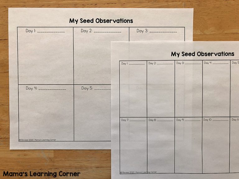 Seed Writing Activities - Mamas Learning Corner