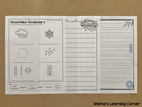 Life Cycle of a Snowflake Booklet - Mamas Learning Corner
