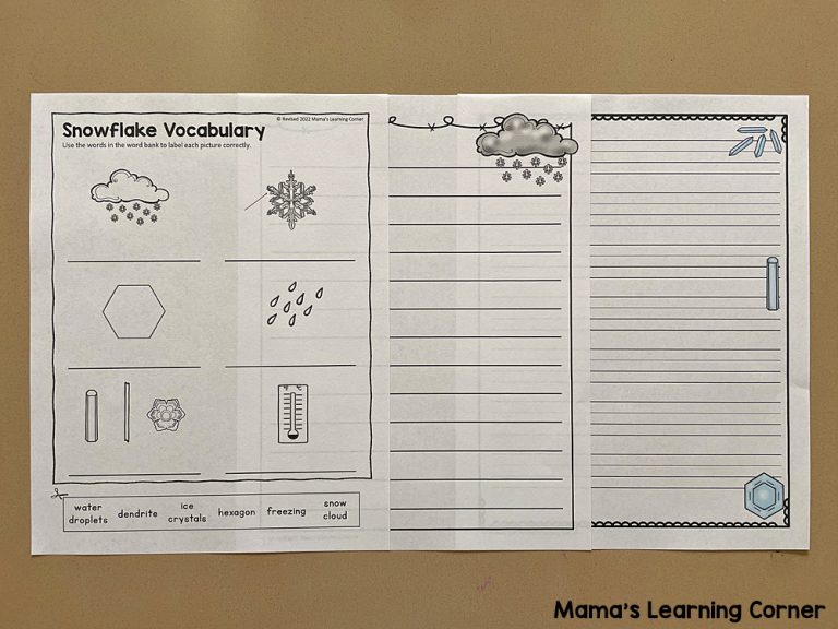 Life Cycle of a Snowflake Booklet - Mamas Learning Corner