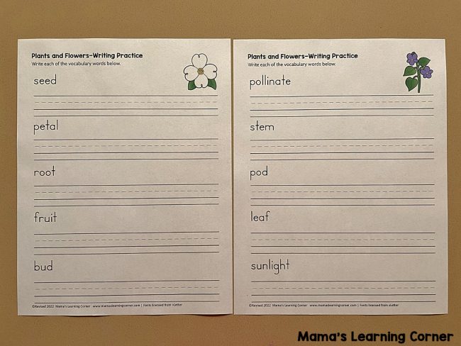 Plants and Flowers Handwriting Practice - Mamas Learning Corner