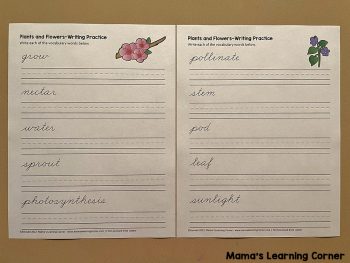 Plants and Flowers Handwriting Practice - Mamas Learning Corner
