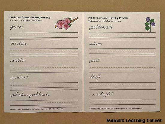 Plants and Flowers Handwriting Practice - Mamas Learning Corner
