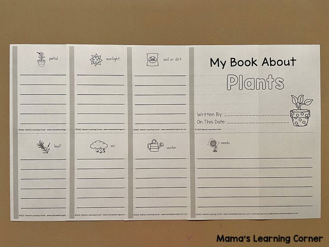 Plants Writing Booklet with Picture Dictionary - Mamas Learning Corner