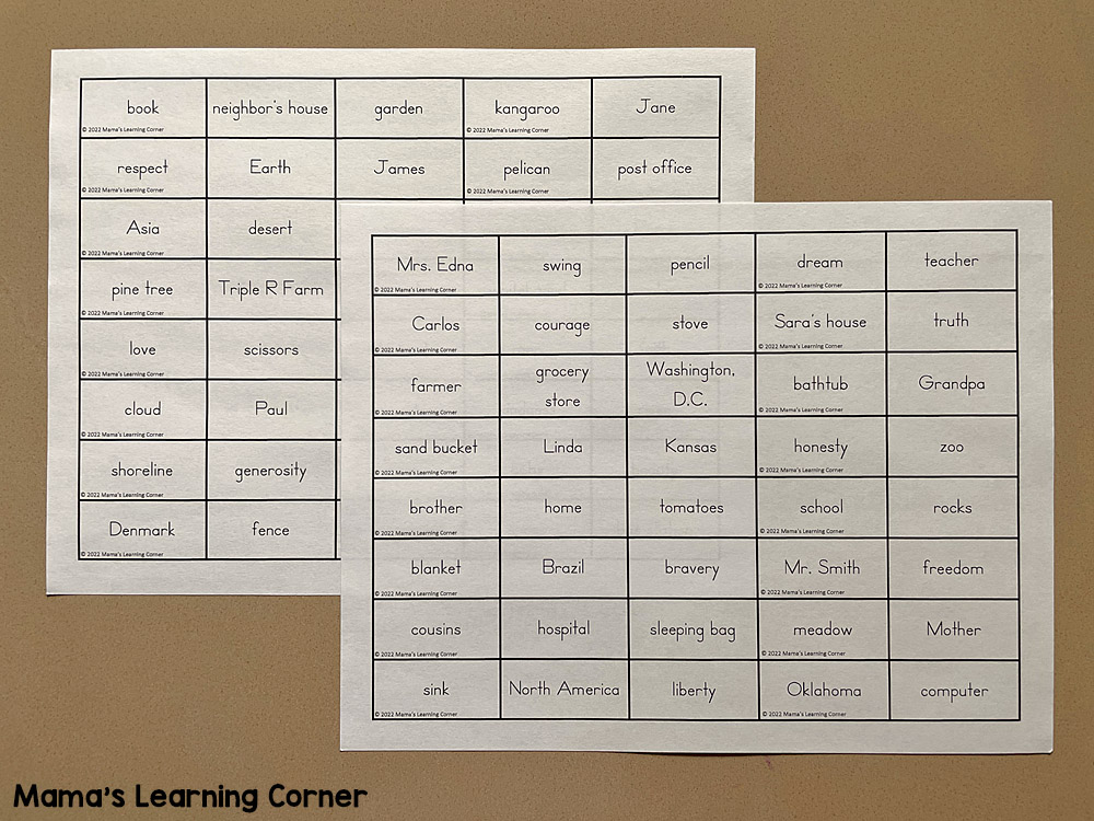 Noun Sorting Activity - Mamas Learning Corner