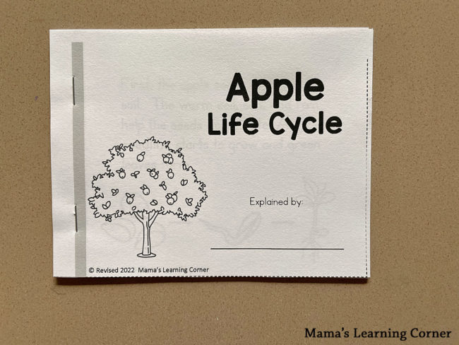 Apple Life Cycle Worksheets - Mamas Learning Corner