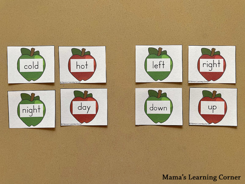 Apple Worksheets for Kindergarten-First Grade - Mamas Learning Corner