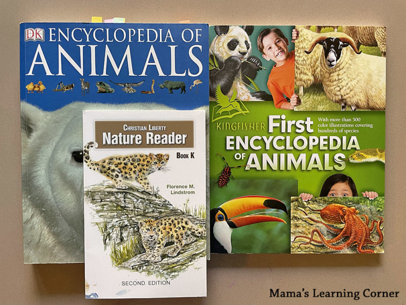 Kindergarten Homeschool Curriculum Choices for 2022-2023 - Mamas ...