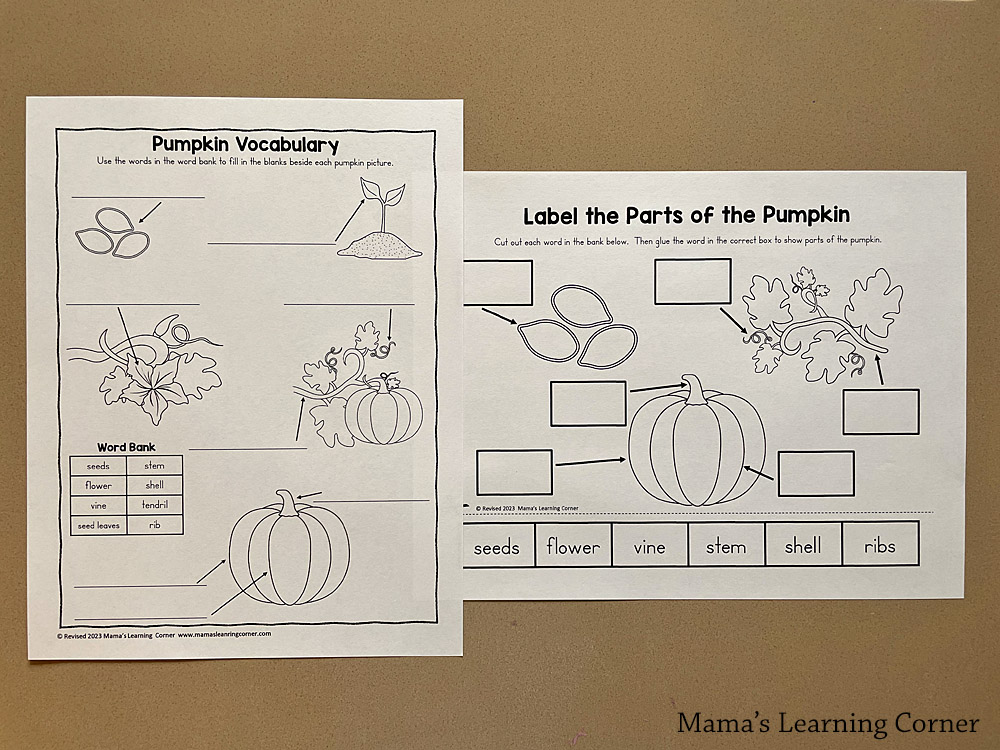 Pumpkin Life Cycle Worksheets - Mamas Learning Corner